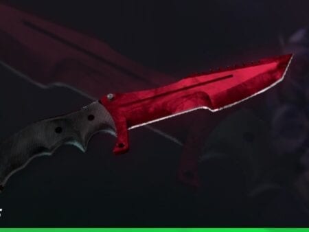 Butterfly Knife Ruby Guide | Best Seed Patterns in CSGO
