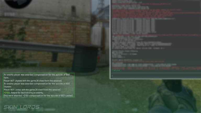 How to Kick Bots from a CS2 Private Match - SkinLords