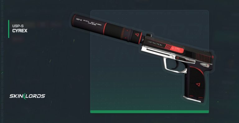 Top 10 Best USP-S Skin in CS2 - SkinLords