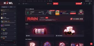 Howl.GG Review in 2024 - Is Howl Safe & Legit?