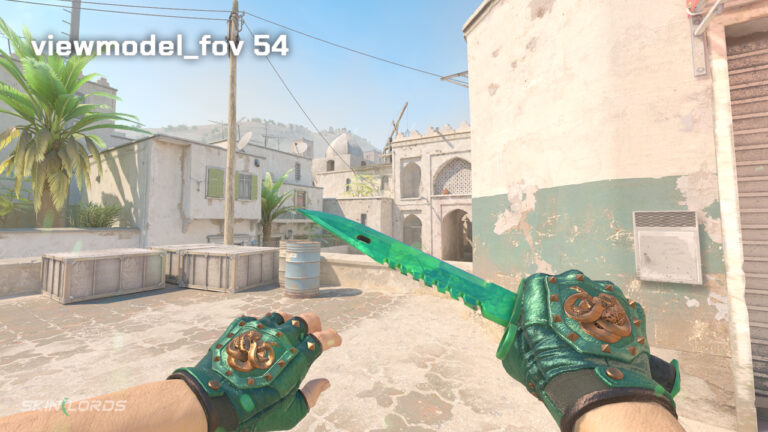 How to Change your CS2 FOV - SkinLords