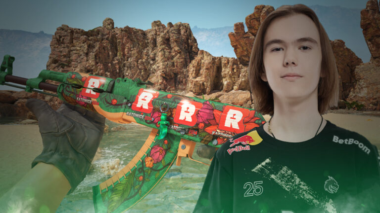 CS2 Inventory Review: donk's CS2 Inventory - SkinLords